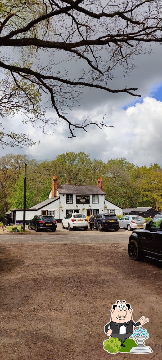Menu at The Viper Mill Green pub & bar, Ingatestone