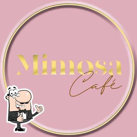 Mimosa Tea Room, Liège - Menu du restaurant, prix et avis