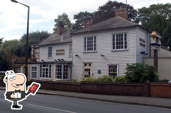 Menu at Spring Tavern Ewell pub & bar, Epsom