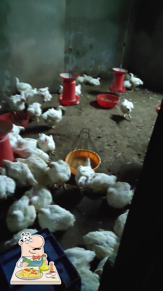 St George Chicken, Nellimattom - Restaurant reviews