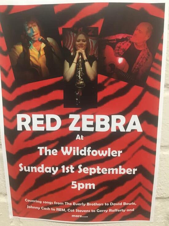 Menu at The Wildfowler pub & bar, Terrington Saint Clement