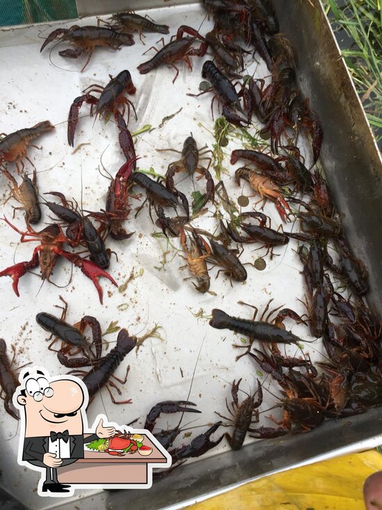 Menu at Alonso's Crawfish Shack restaurant, Port Barre