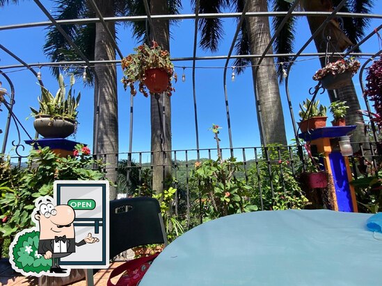 Los Callos restaurant, Xilitla - Restaurant reviews