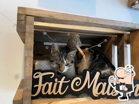 Menu au Le Carolo Cat, Charleroi